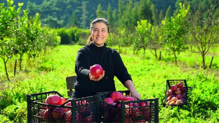 The Art of Growing and Harvesting Fruits - Fruitful Insights